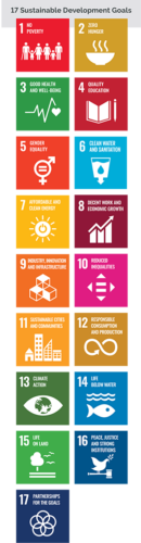 Global Environmental Initiatives | Arena