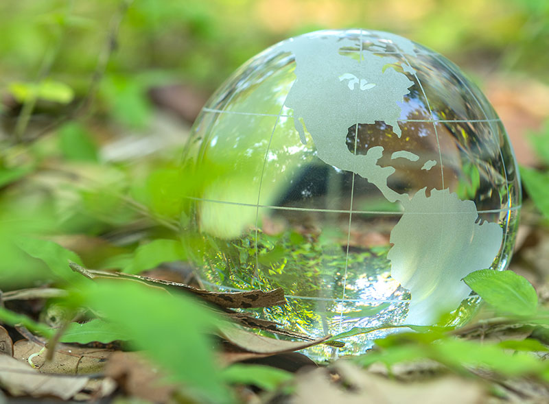 Environmental Compliance | Arena