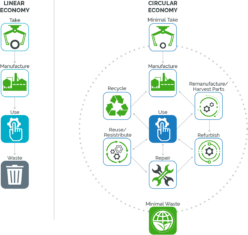 8 Ways PLM Can Support Circularity Concepts for Product Development | Arena