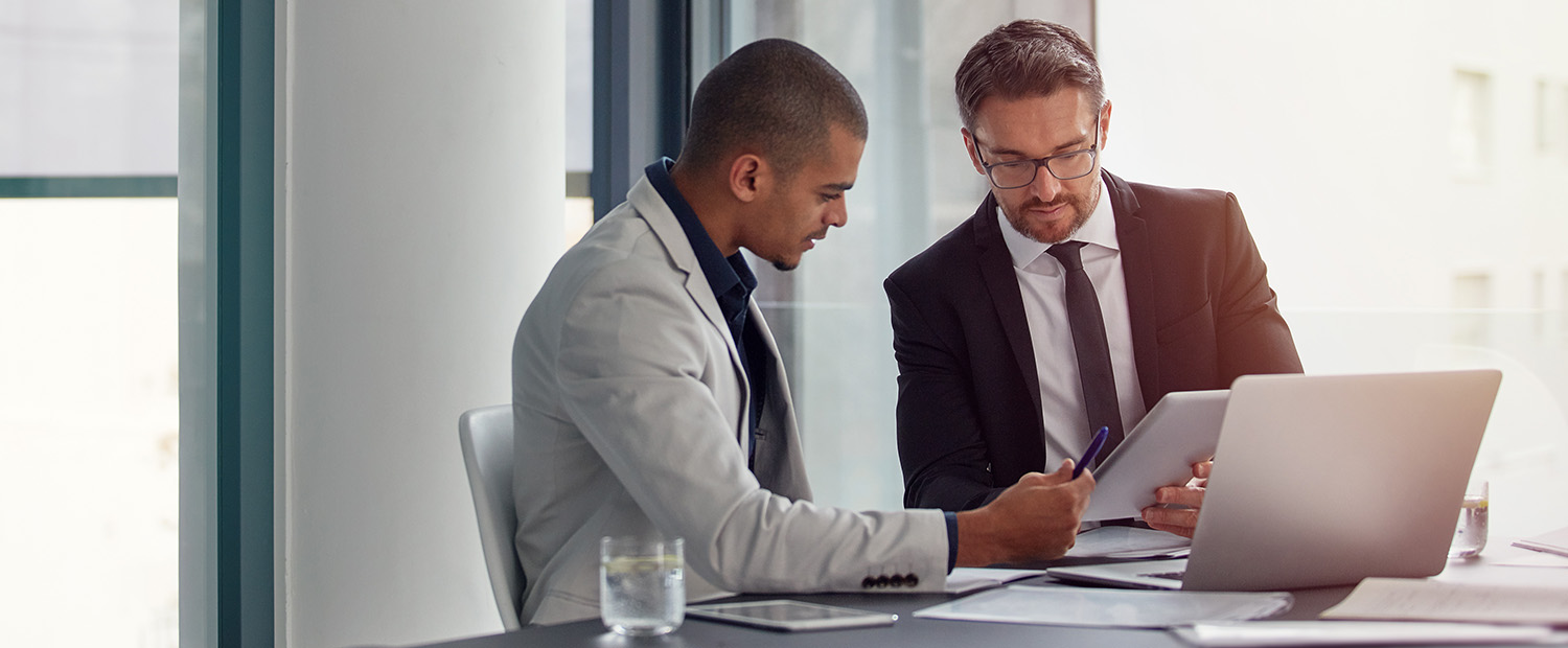 IVDR Technical Documentation | Arena