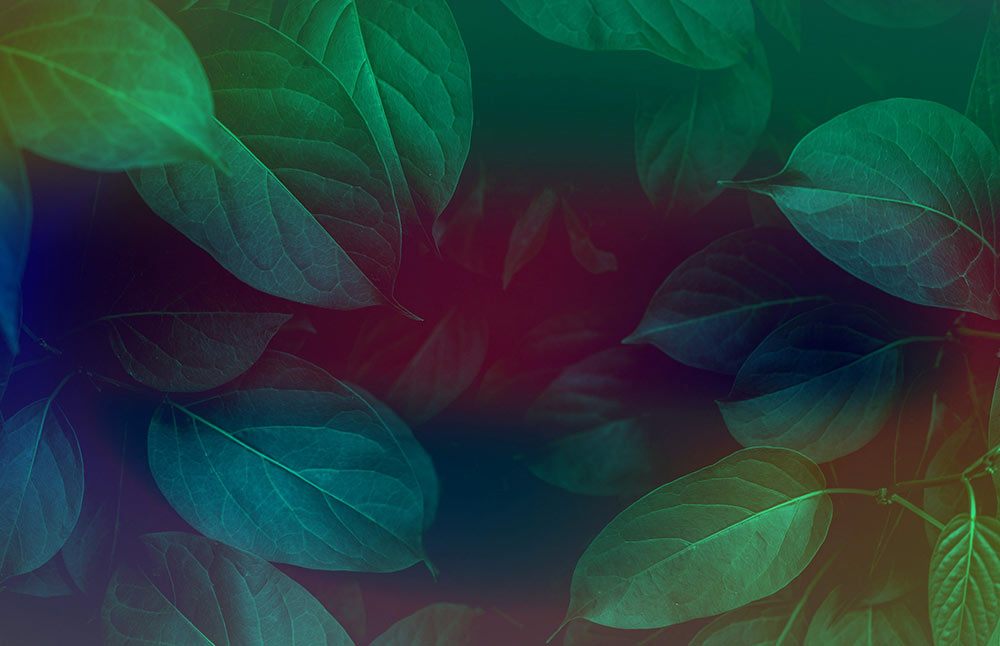 Sustainable Product Development Redefined: How PLM and LCA Integration ...