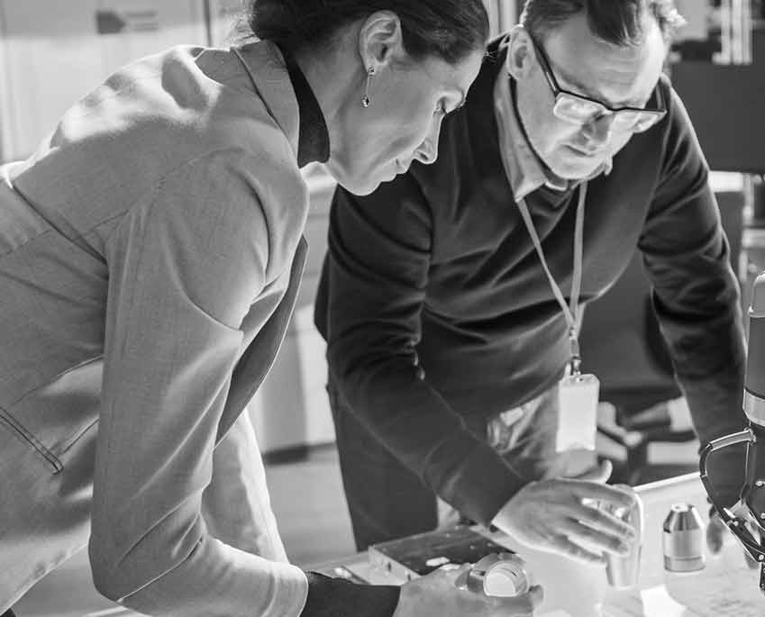 Software Validation—FDA Validation Compliance | Arena